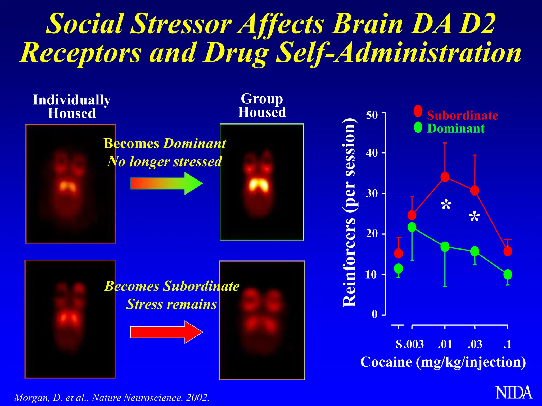 Neurobiology of drug abuse and addiction_NIDA | PPT