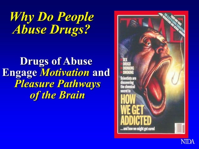 Neurobiology of drug abuse and addiction_NIDA | PPT
