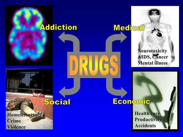Neurobiology of drug abuse and addiction_NIDA | PPT