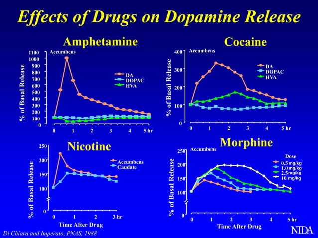 Neurobiology of drug abuse and addiction_NIDA | PPT