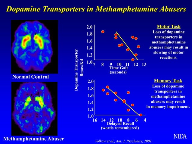Neurobiology of drug abuse and addiction_NIDA | PPT