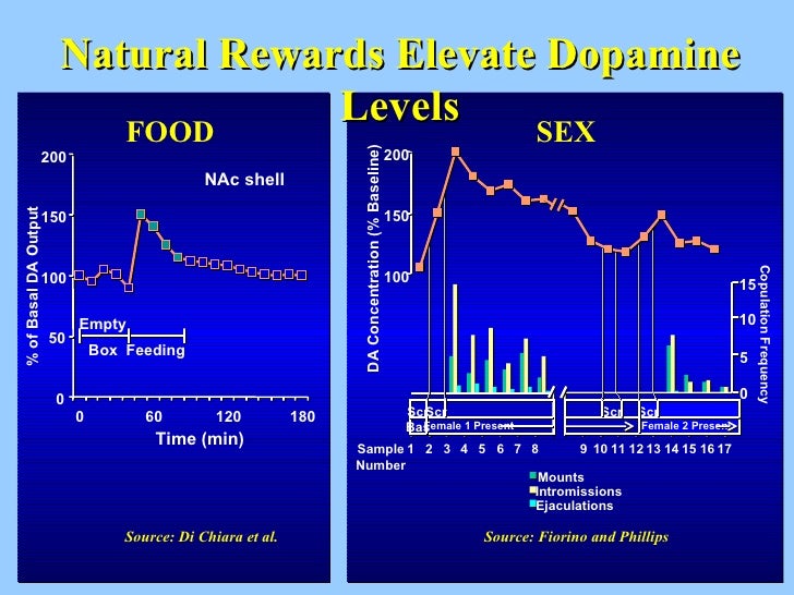 Addictions and the Brain