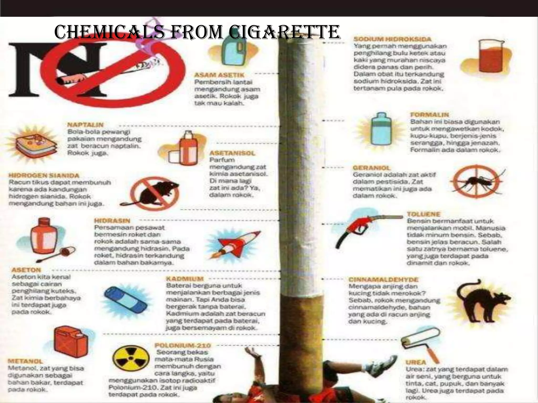 Rokok dan Narkoba PPT | PPTX