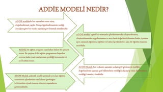 Addie modeli.pdf