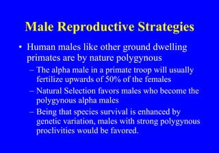 Adding A Co Wife | PPT