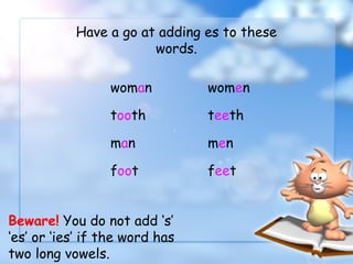 Adding s, es and ies to nouns powerpoint | PPTX