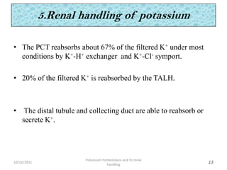potassium homeostasis and its renal handling | PPTX