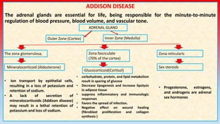 ADDISON(1).pptx