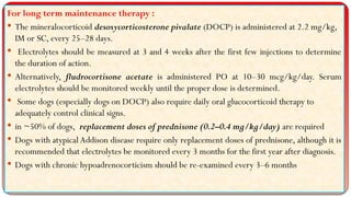 ADDISON disease of canine dr.kavita jaidiya | PPTX