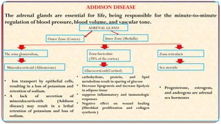 ADDISON disease of canine dr.kavita jaidiya | PPTX
