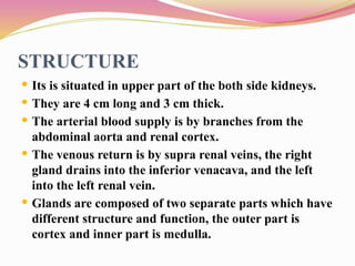 Addisons disease PPT for nursing students | PPTX