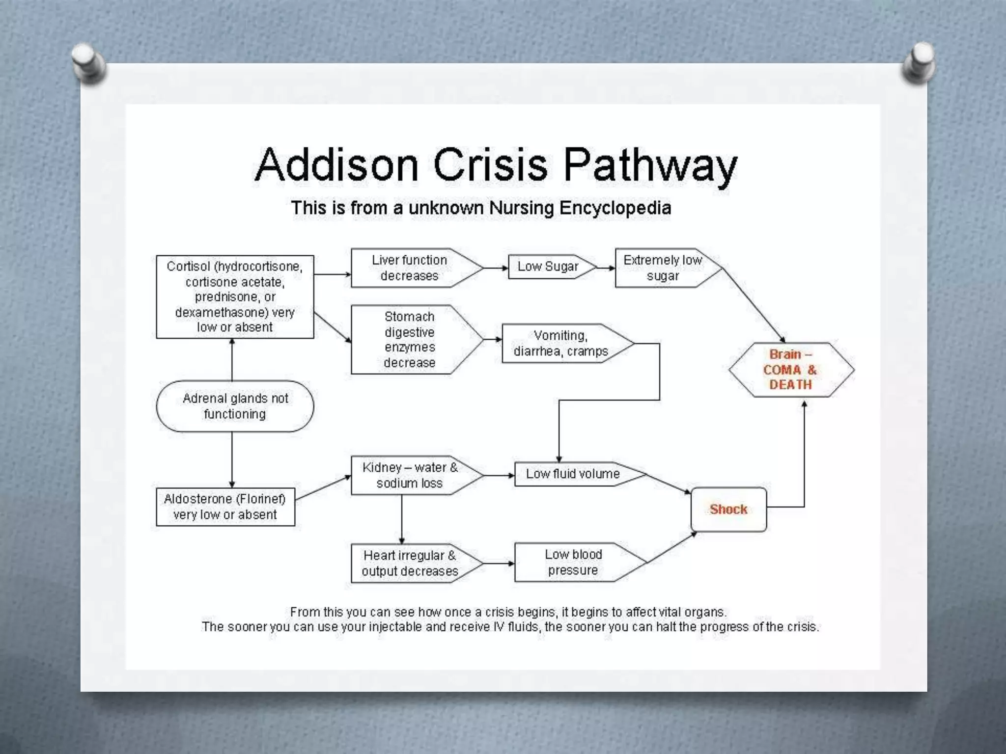 Addison’s disease final ppt | PPTX