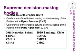 Addis presentation ecbi Stella Gama_0.pptx