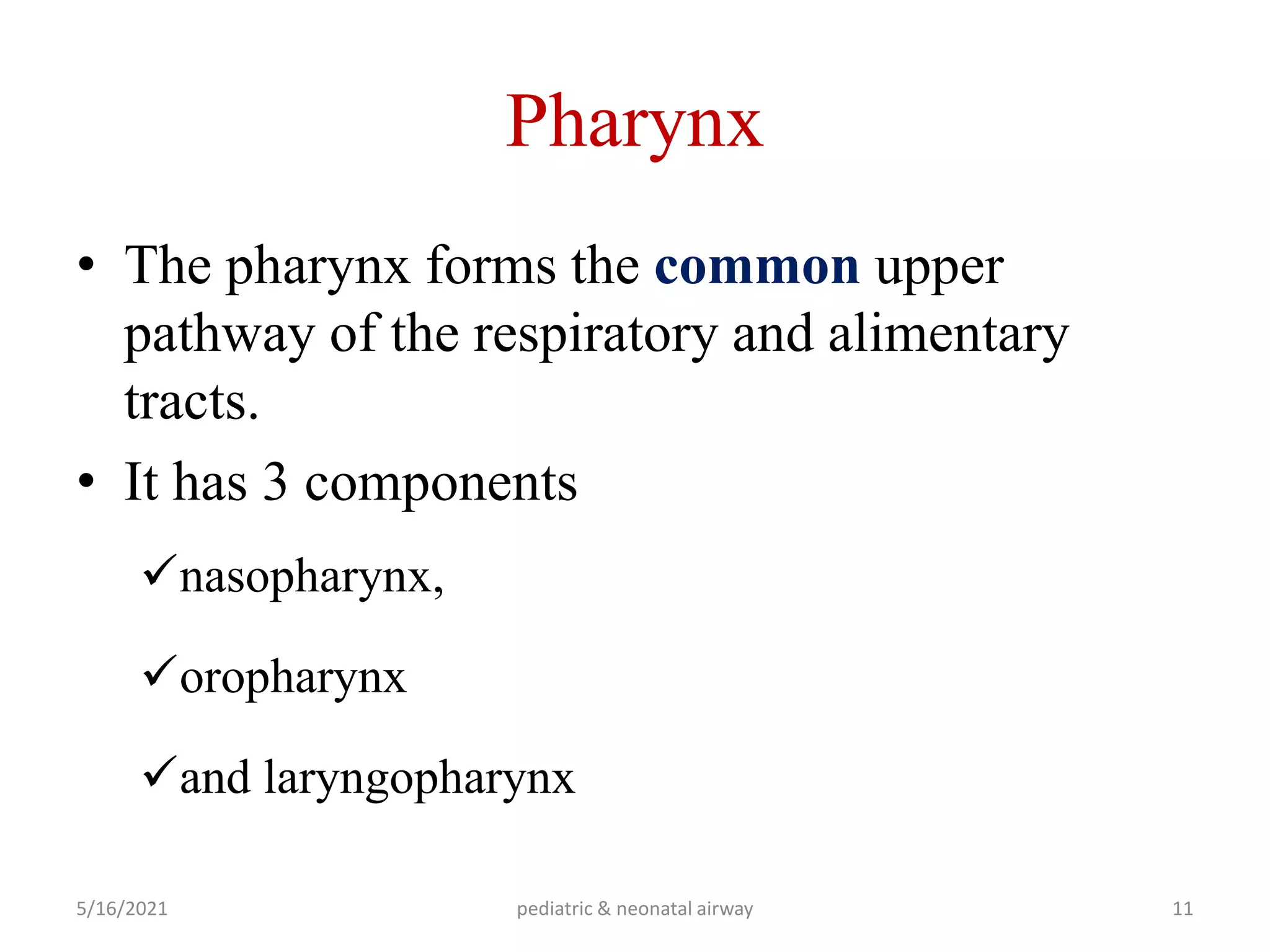 pediatrics airway anatomy | PPTX