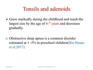 pediatrics airway anatomy | PPTX
