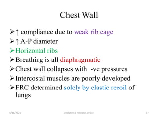 pediatrics airway anatomy | PPTX