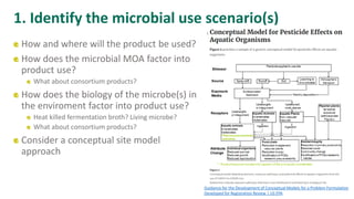 Additional Considerations for Pesticide Formulations Containing ...