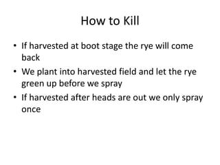 Additional Forage in Livestock and Dairy Operations - Kleiss | PPTX