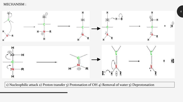 Addition Reactions with Amines and Iminium ions Mannich reaction..pptx ...