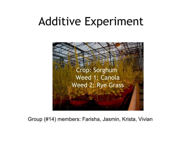 Additive Experiment | PPT