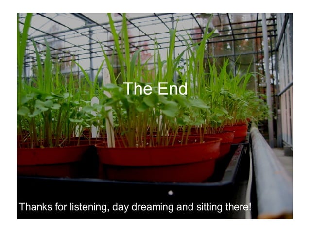 Additive Experiment | PPT