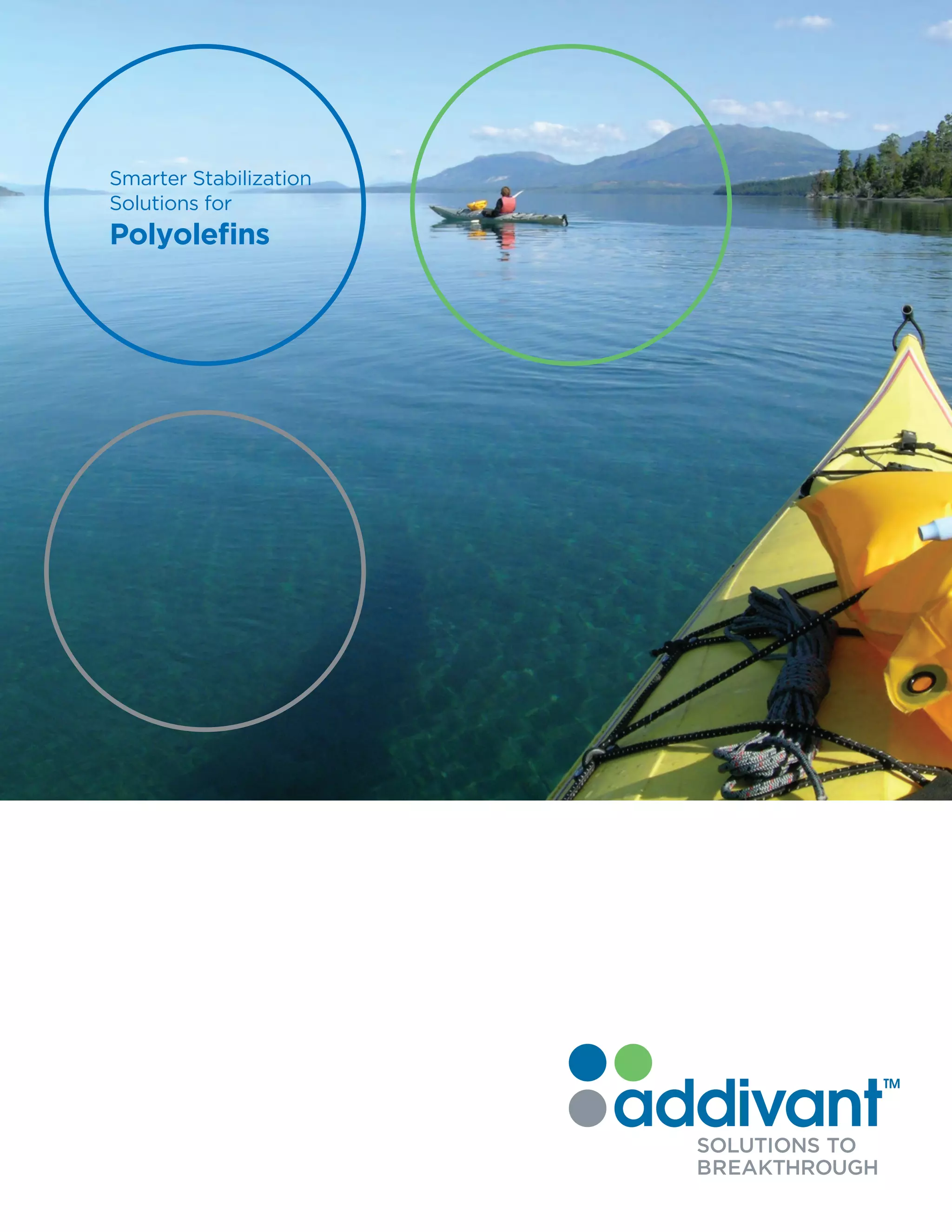 Addivant polymer stabilizers for polyolefins | PDF