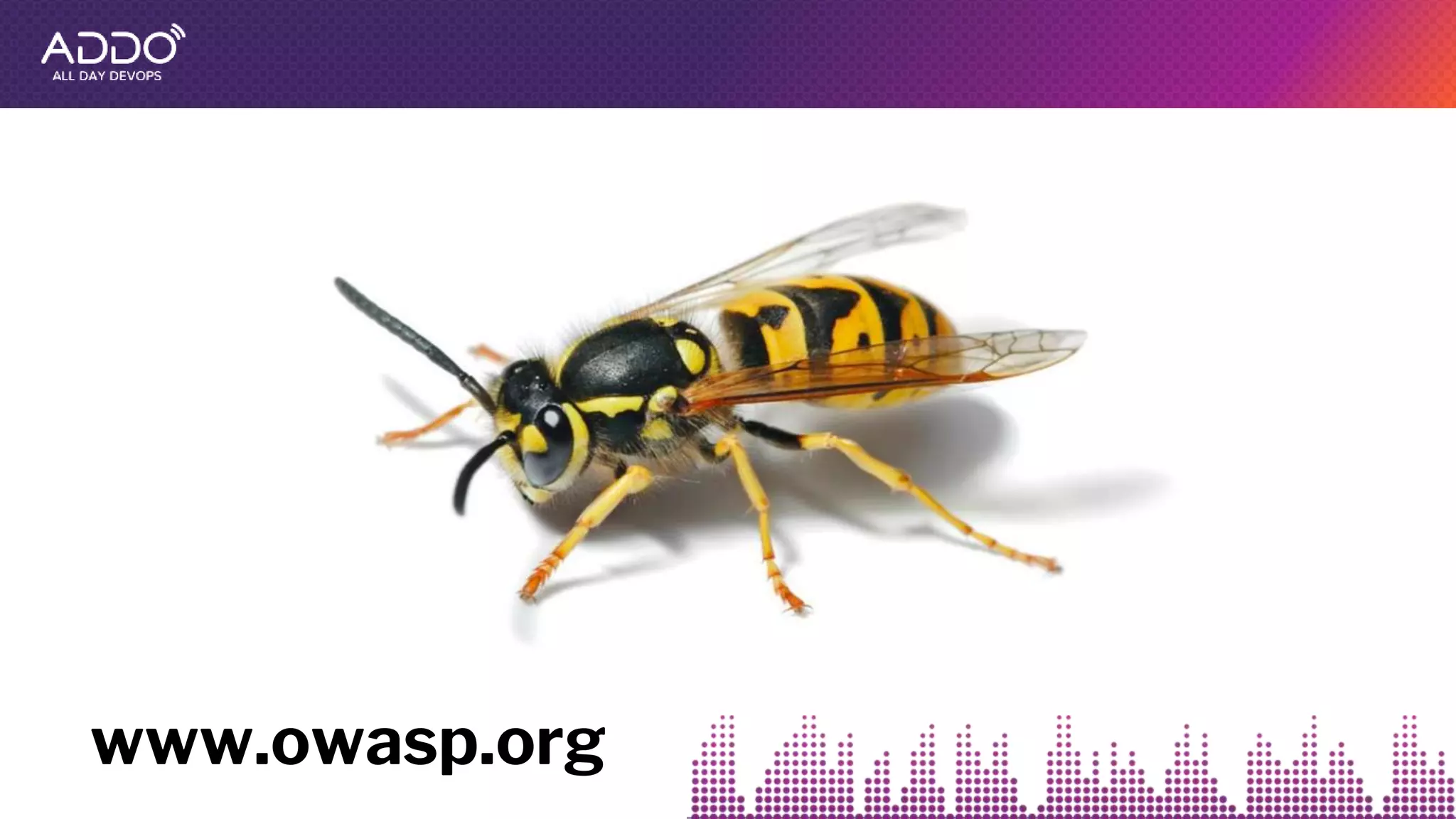 OWASP Top 10 Overview | PPT