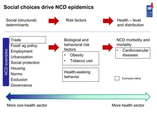 Addressing the Social Determinants of Noncommunicable Diseases | PPTX ...