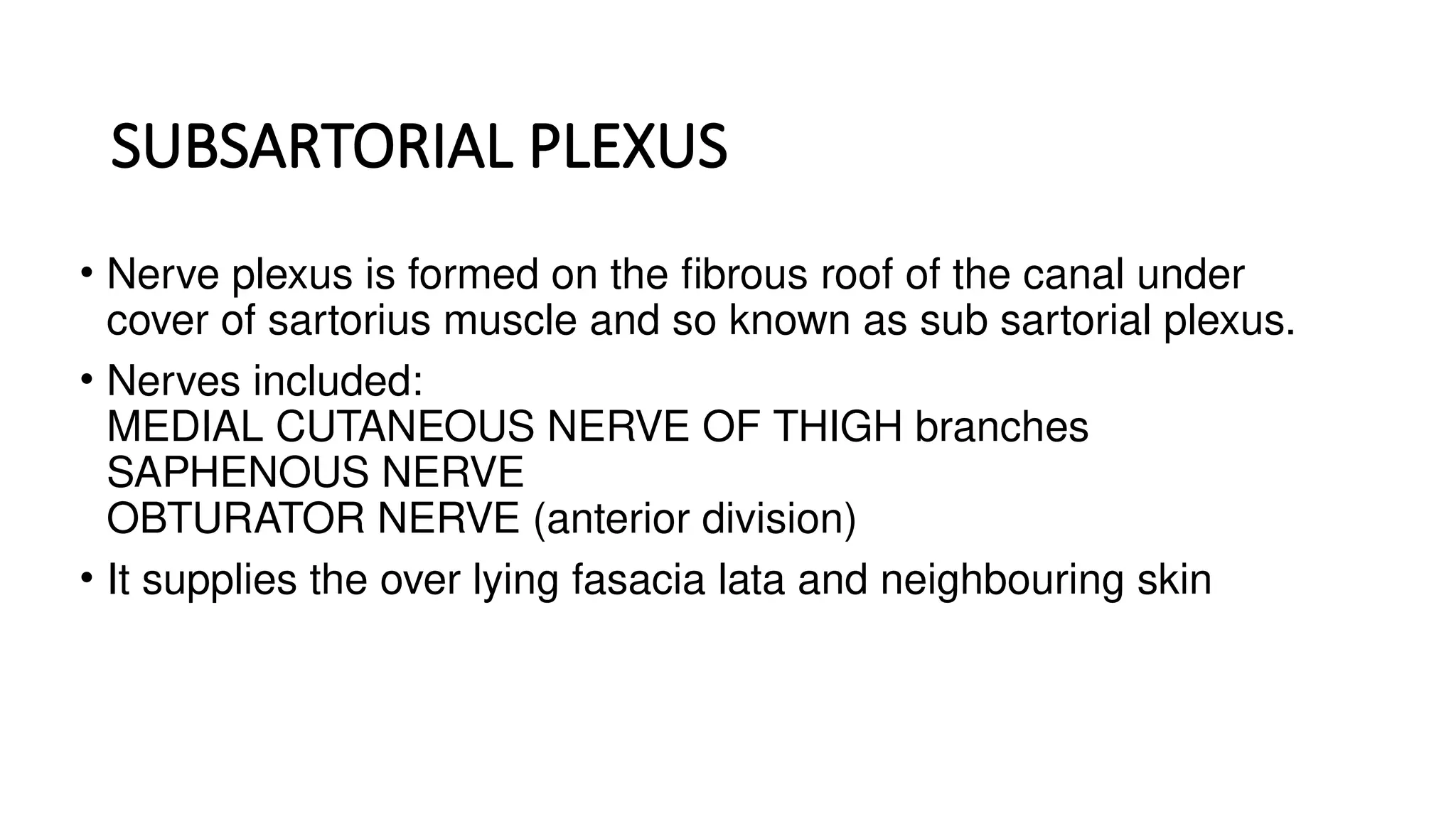 Anatomy of Adductor Canal presentation by Dr ela kinra | PPTX