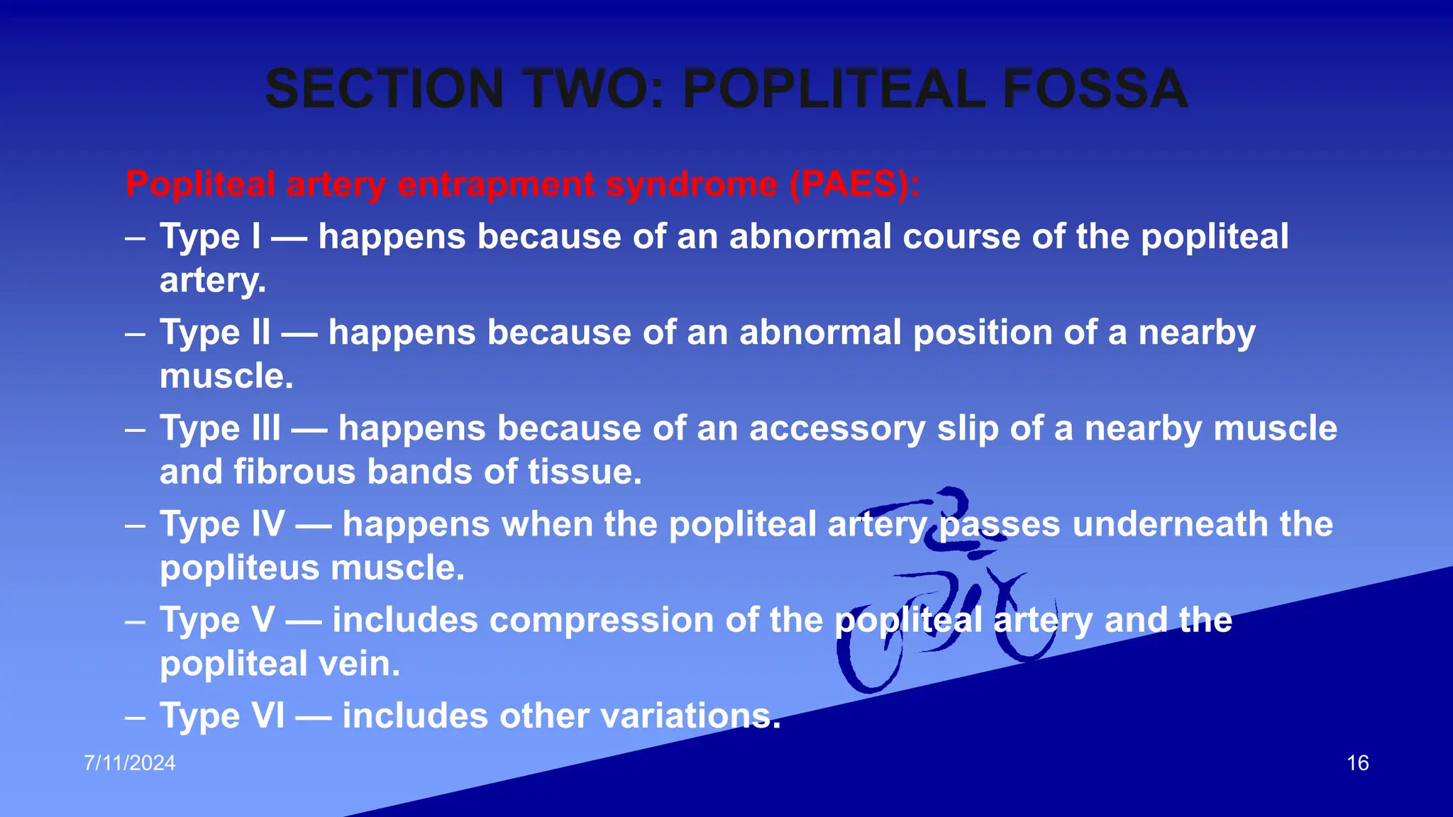 Anatomy of the Adductor Canal and popliteal fossa.pptx