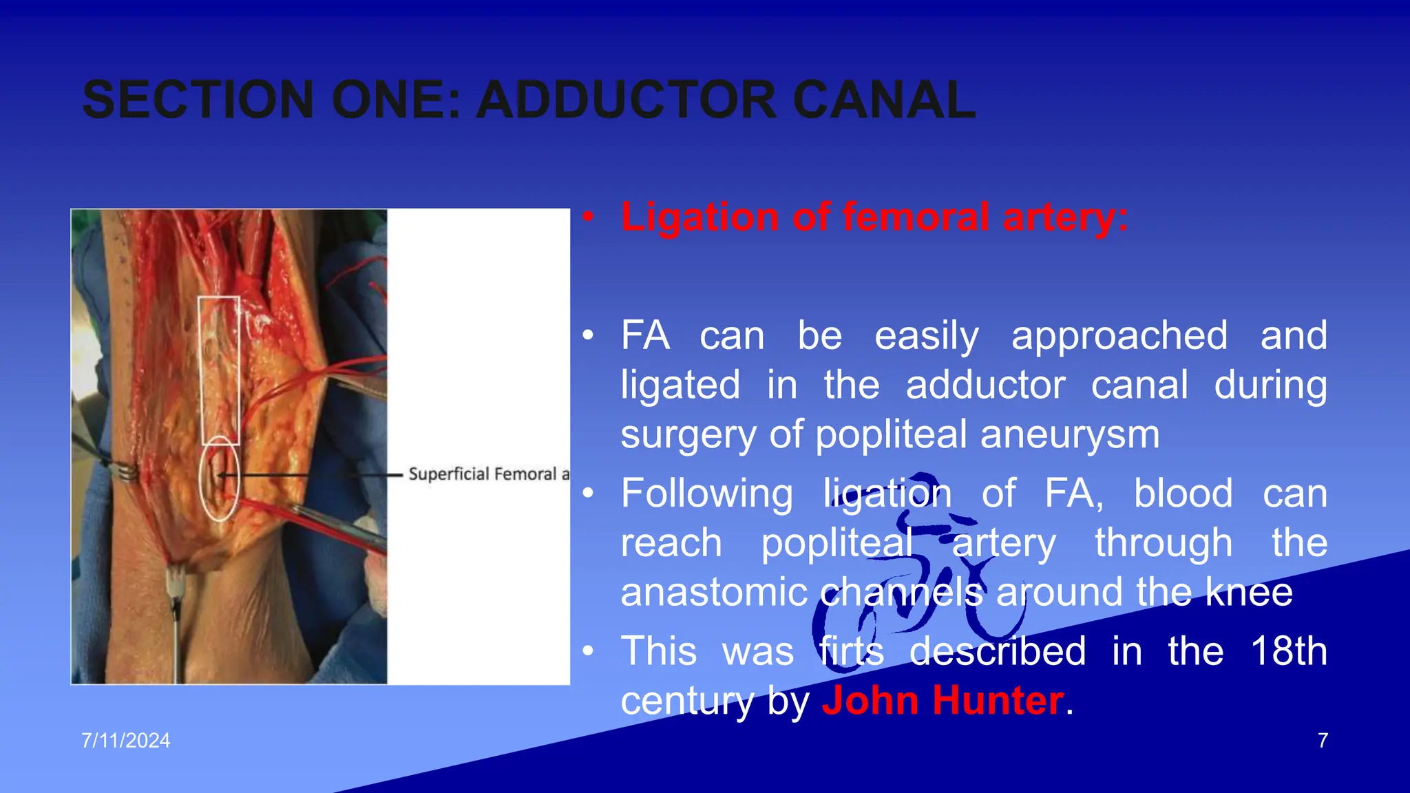 Anatomy of the Adductor Canal and popliteal fossa.pptx