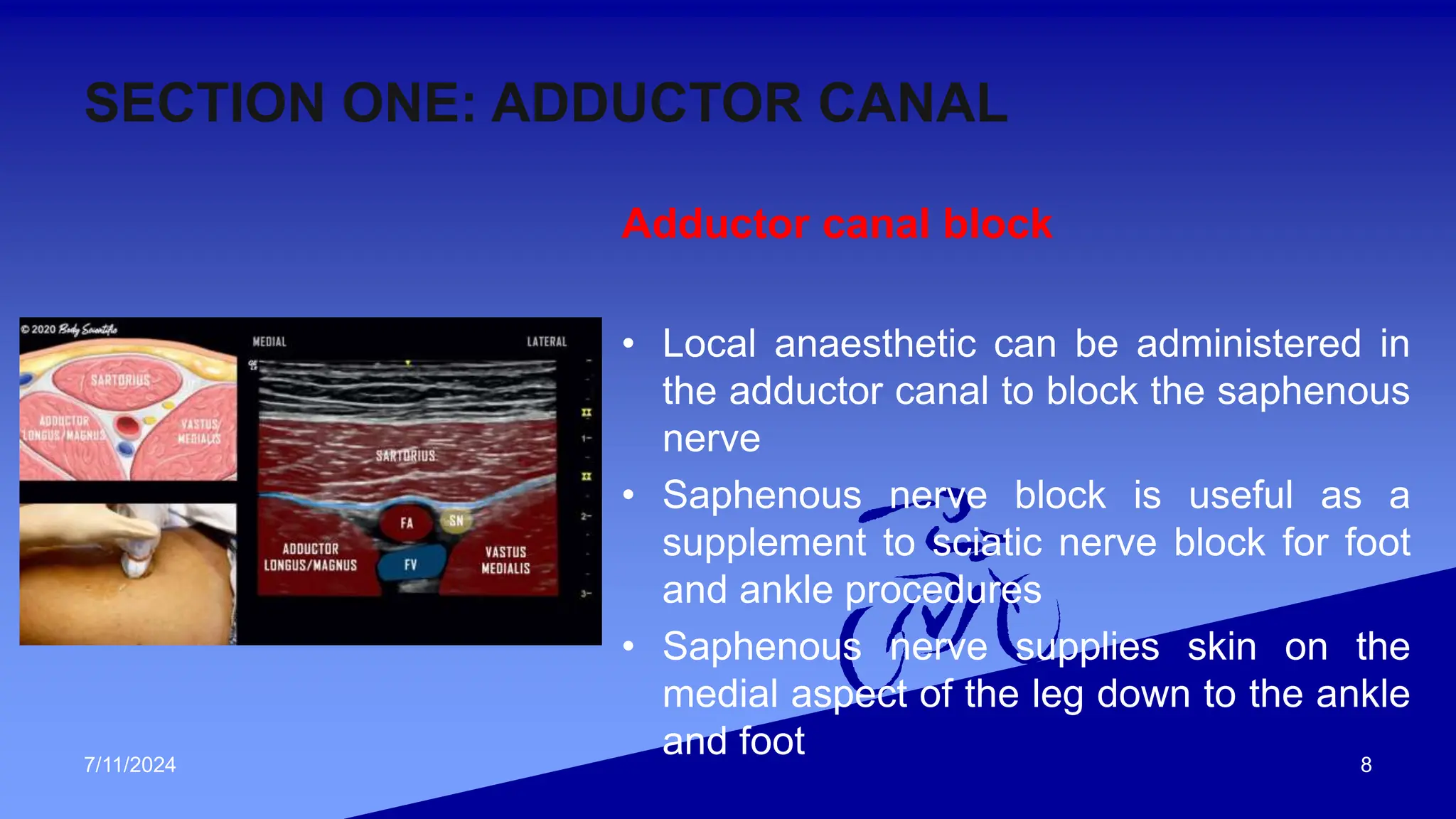 Anatomy of the Adductor Canal and popliteal fossa.pptx