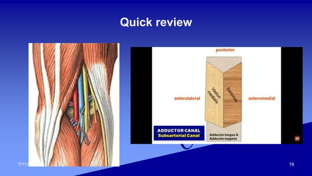 Anatomy of the Adductor Canal and popliteal fossa.pptx
