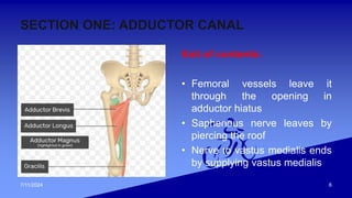 Anatomy of the Adductor Canal and popliteal fossa.pptx