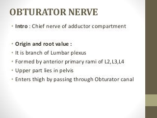 Adductor region.pptx