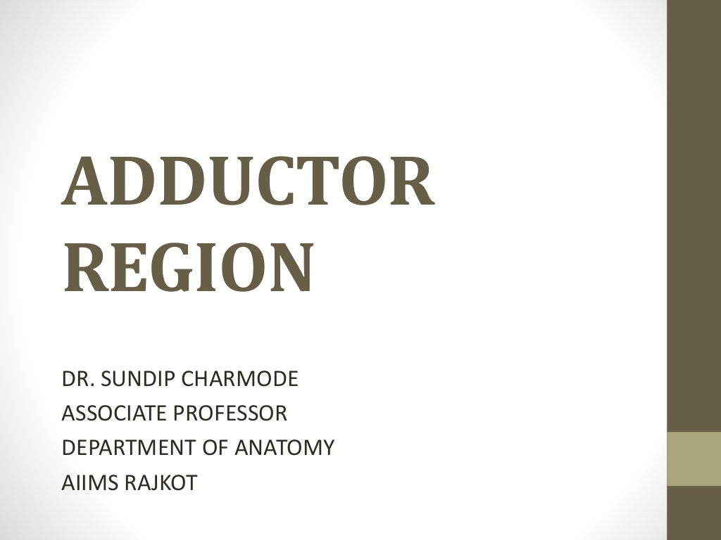 Adductor region.pptx