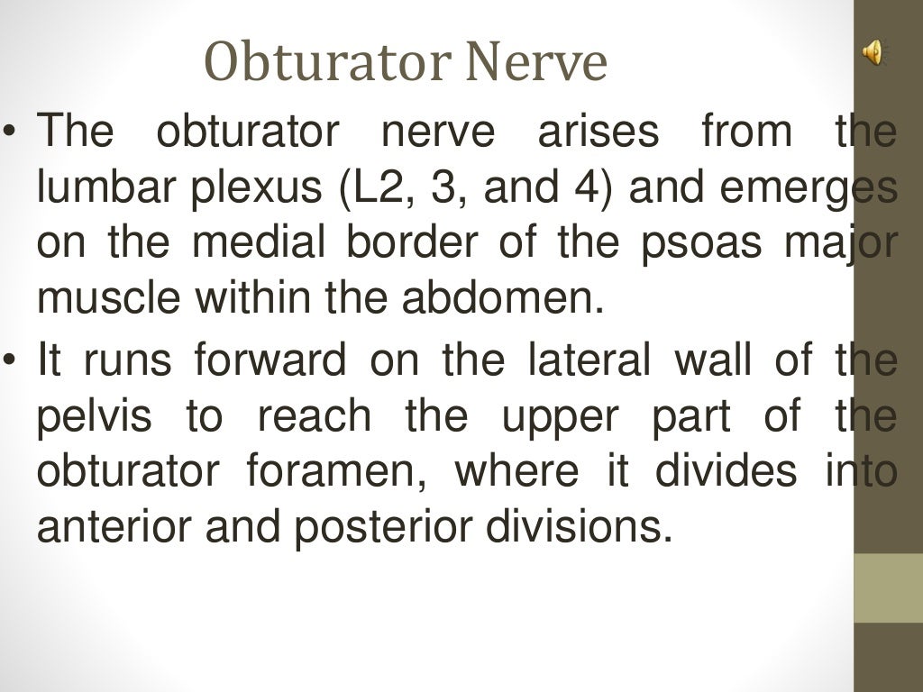 Adductor region.pptx