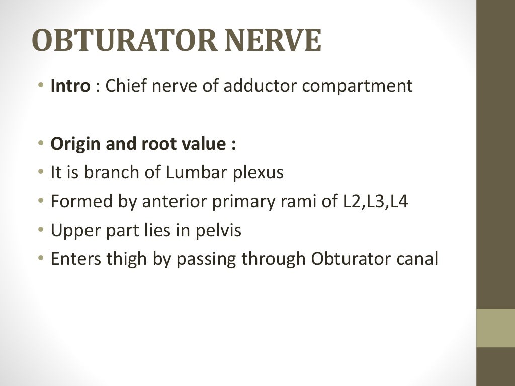 Adductor region.pptx