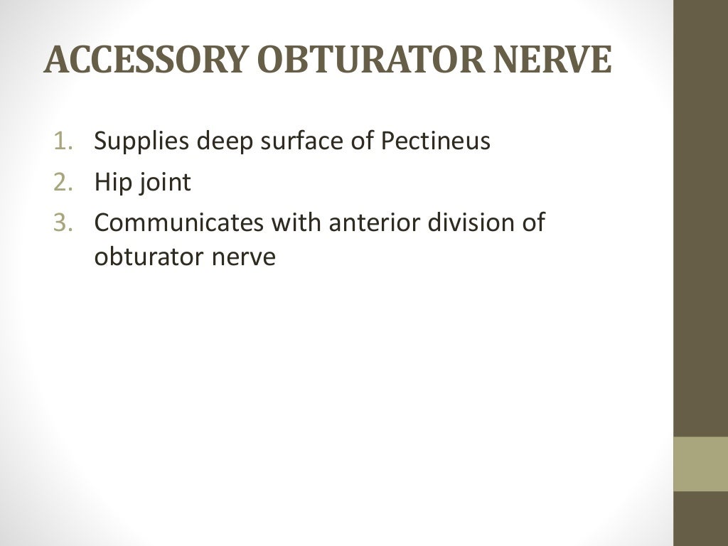 Adductor region.pptx
