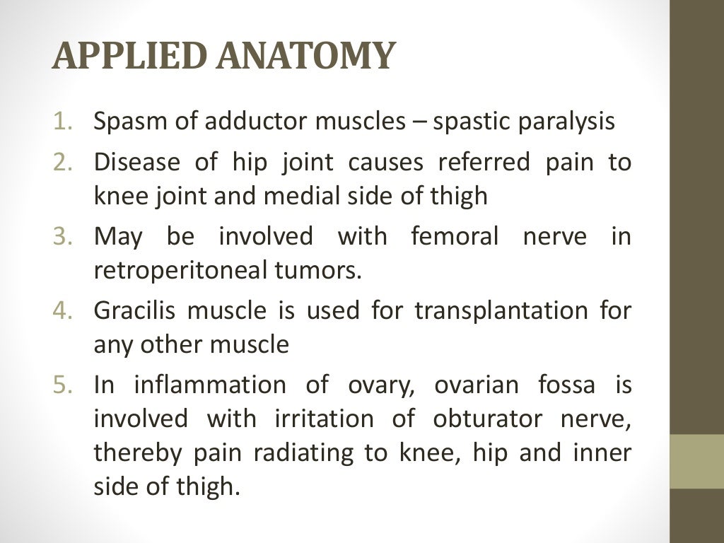 Adductor region.pptx