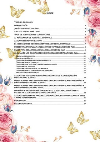 Adecuaciones curriculares 2 | PDF