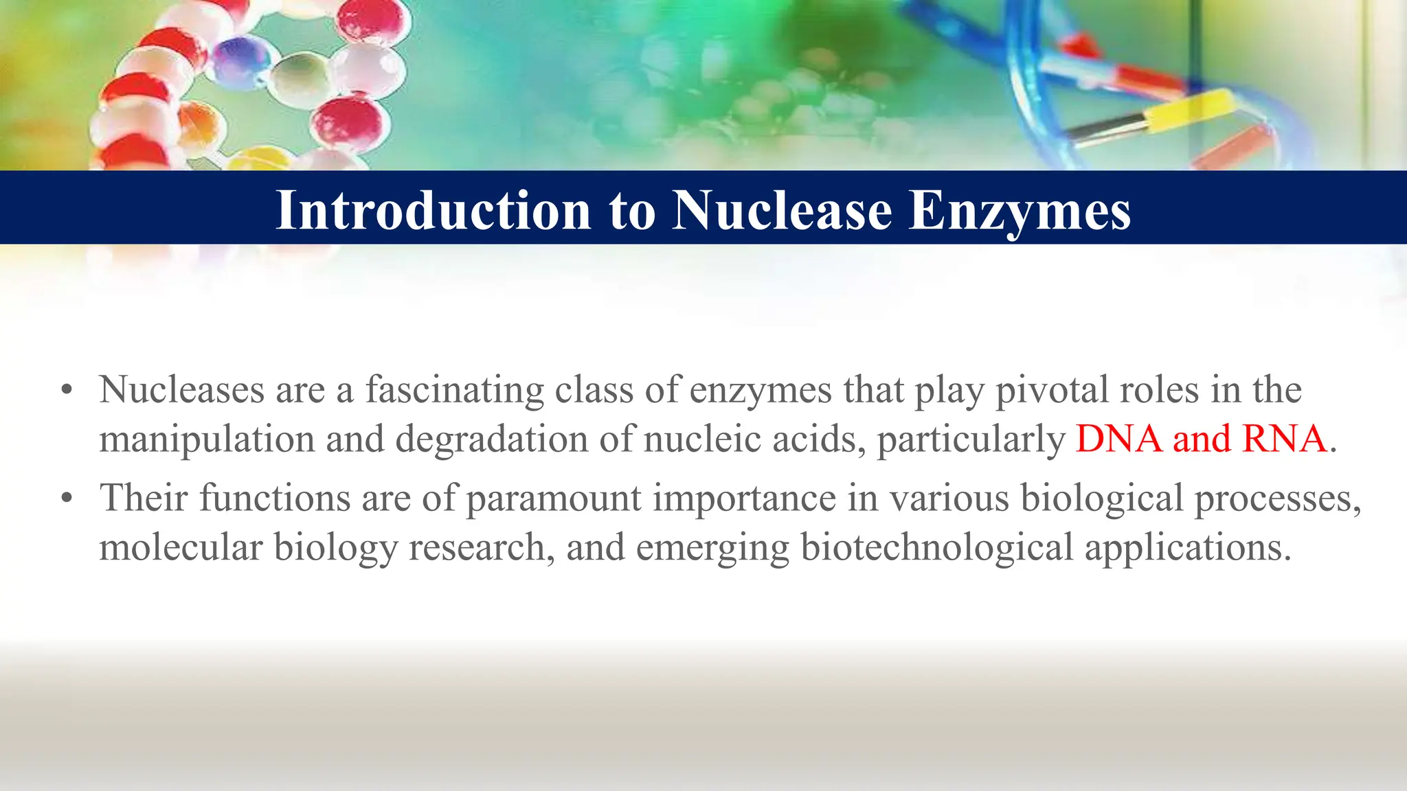 Nuclease enzyme kinetics and thermodynamics by Malik Xufyan | PPTX