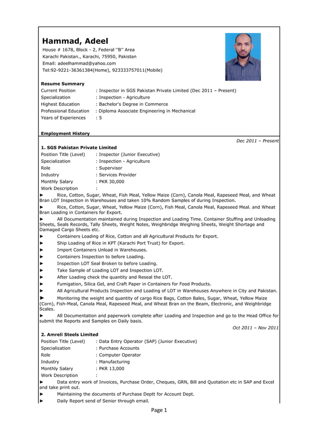 Adeel Hammad, Cv | PDF