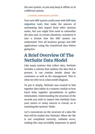 A Deep Dive into NetSuite Data Migration.pdf