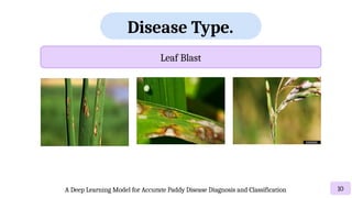 A Deep Learning Model for Accurate Paddy Disease Diagnosis and Classification.pptx