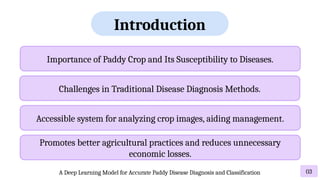 A Deep Learning Model for Accurate Paddy Disease Diagnosis and ...