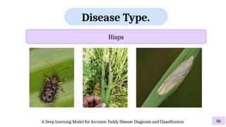 A Deep Learning Model for Accurate Paddy Disease Diagnosis and Classification.pptx