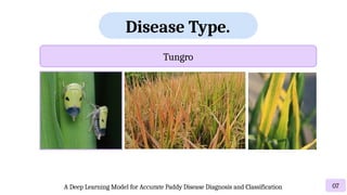 A Deep Learning Model for Accurate Paddy Disease Diagnosis and ...
