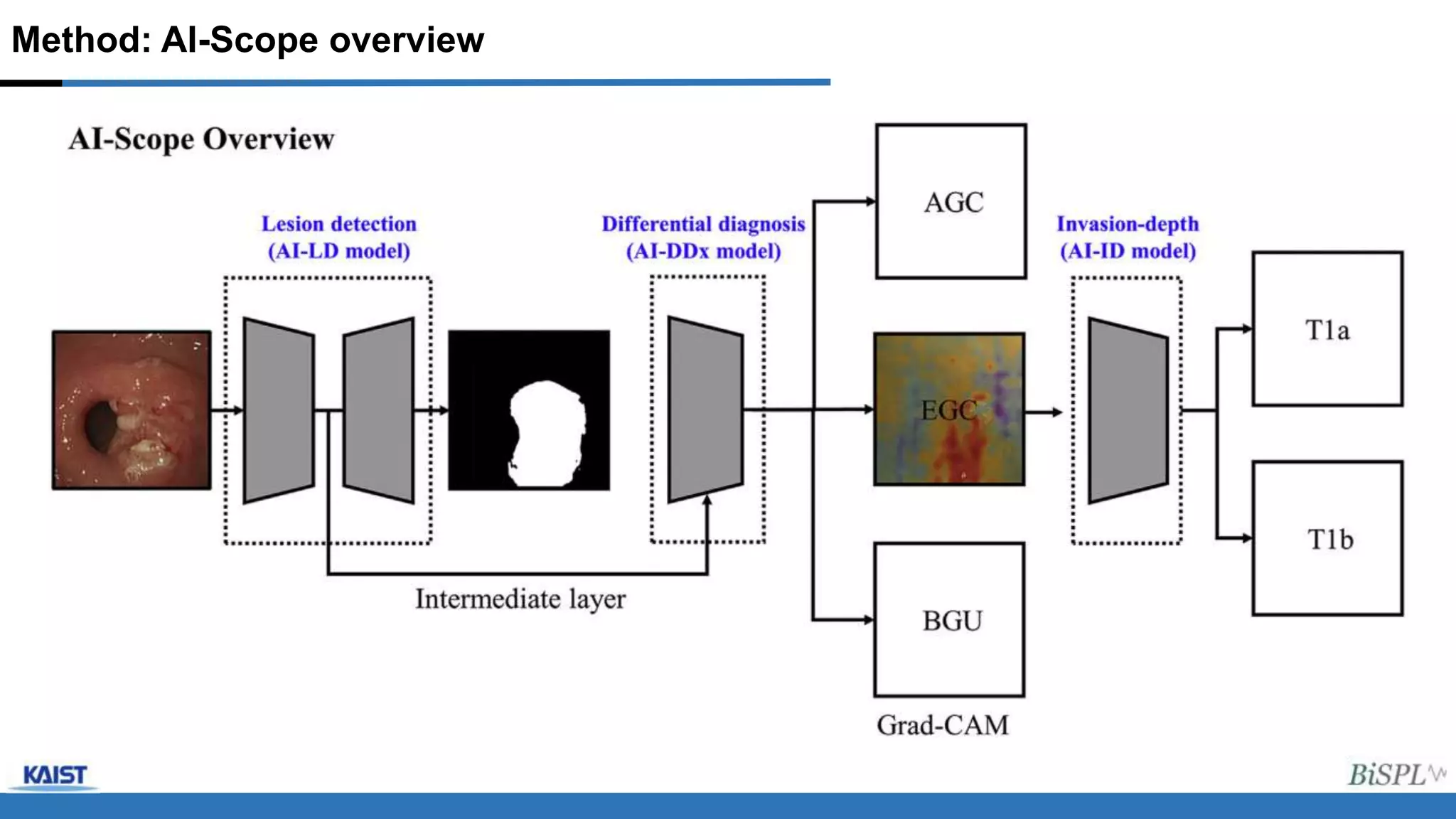 A deep learning model for diagnosing gastric mucosal lesions using ...