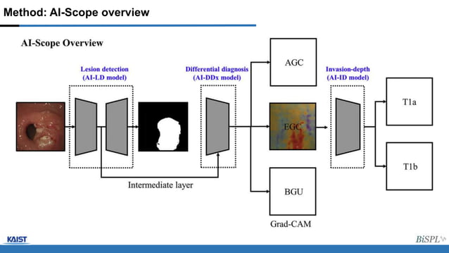 A deep learning model for diagnosing gastric mucosal lesions using ...